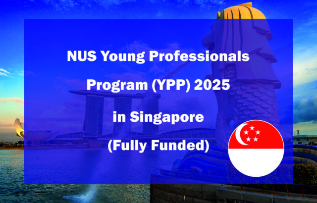 NUS Young Professionals Program (YPP) 2025 in Singapore (Fully Funded) – The Visa Eye